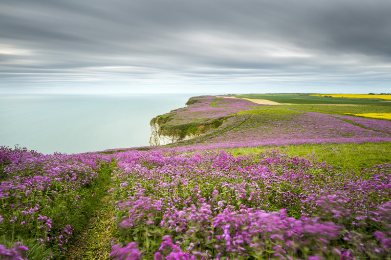Revealed: Stunning Photos of Our Coastline - Coast Magazine
