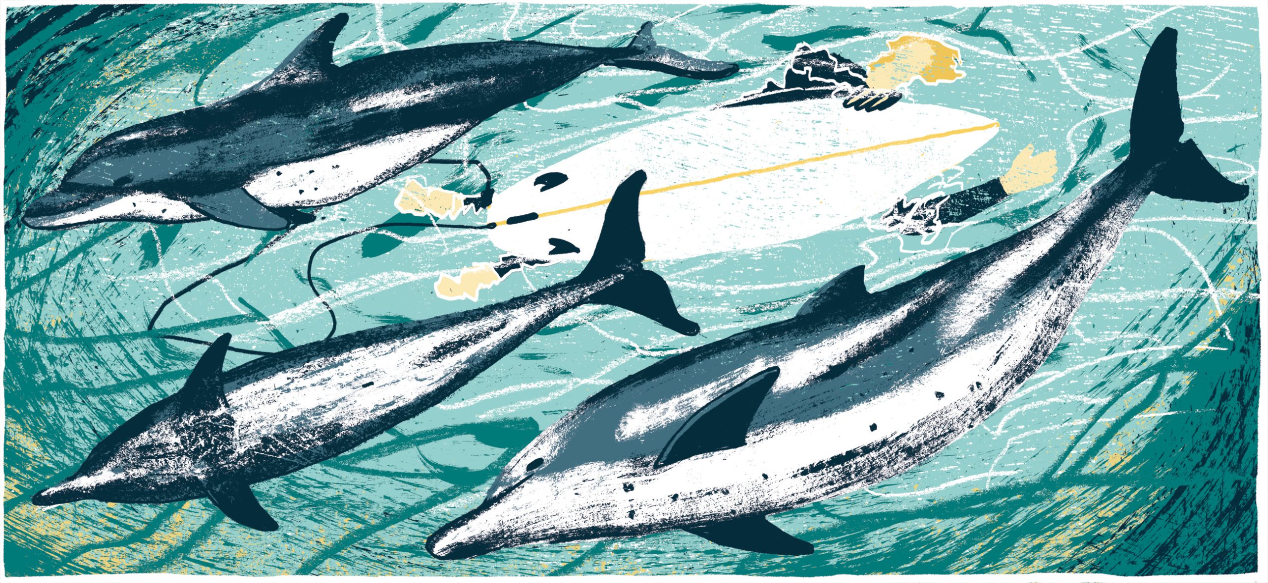 Tom Jay's Coast Illustrations - Coast Magazine