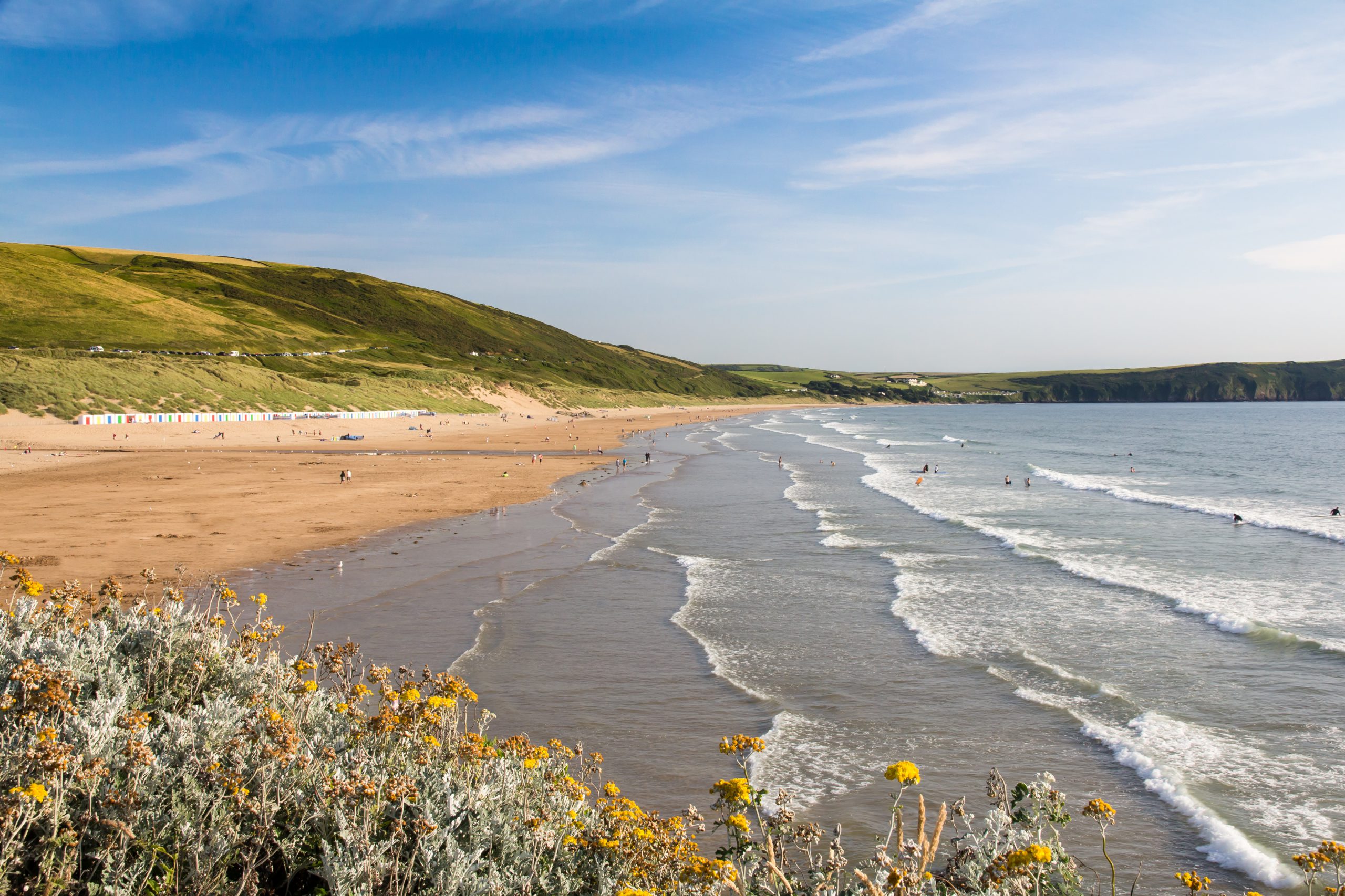Shark At Devon Beach - Coast Magazine