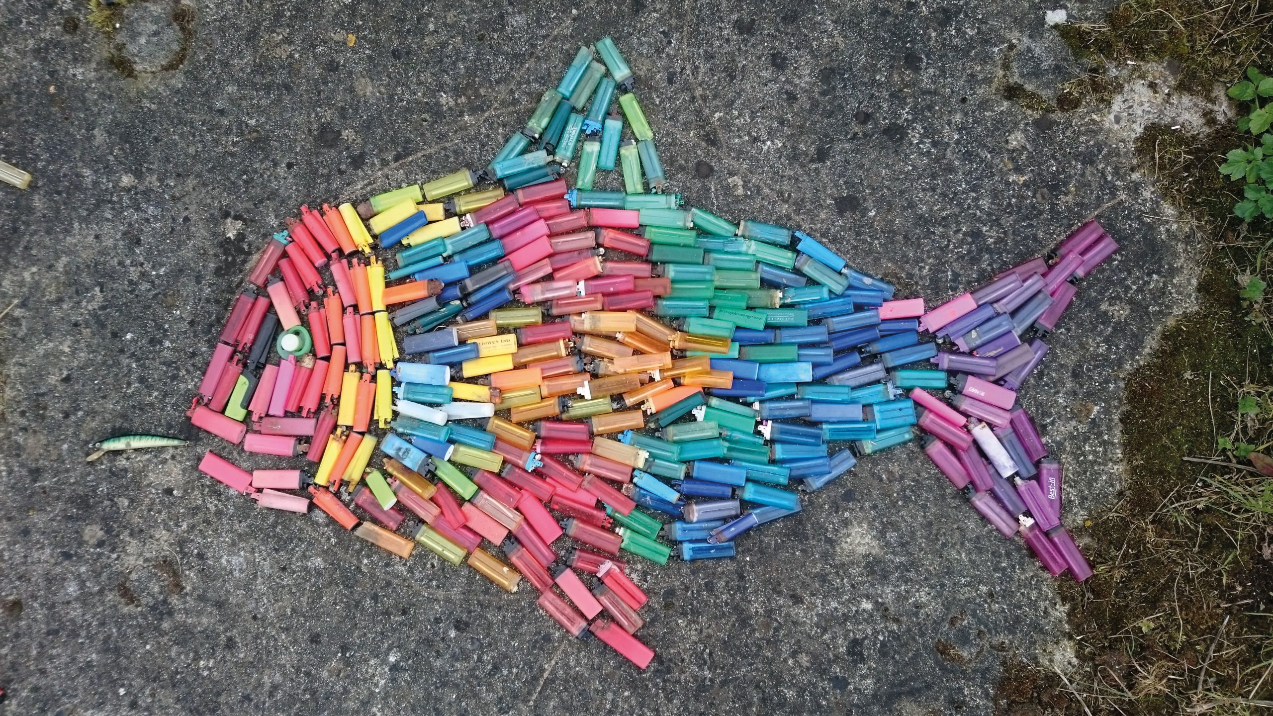 Meet The Beachcombing Artist Nicola White - Coast Magazine