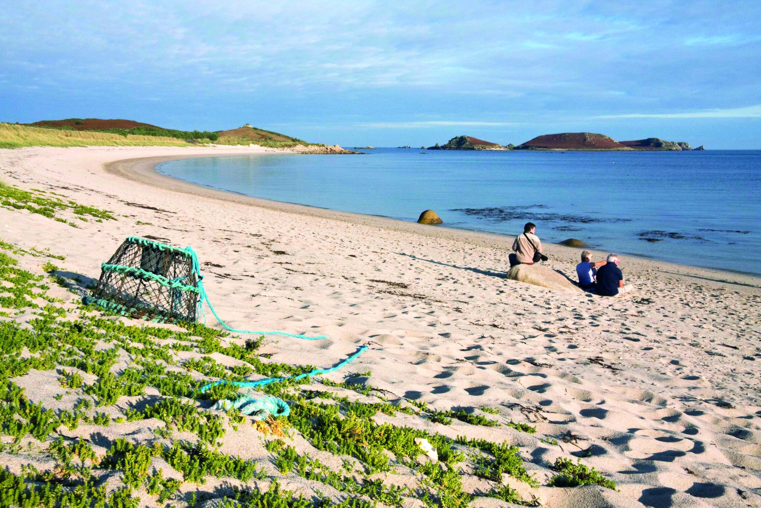 5 Best Beaches For Watching Wildlife - Coast Magazine