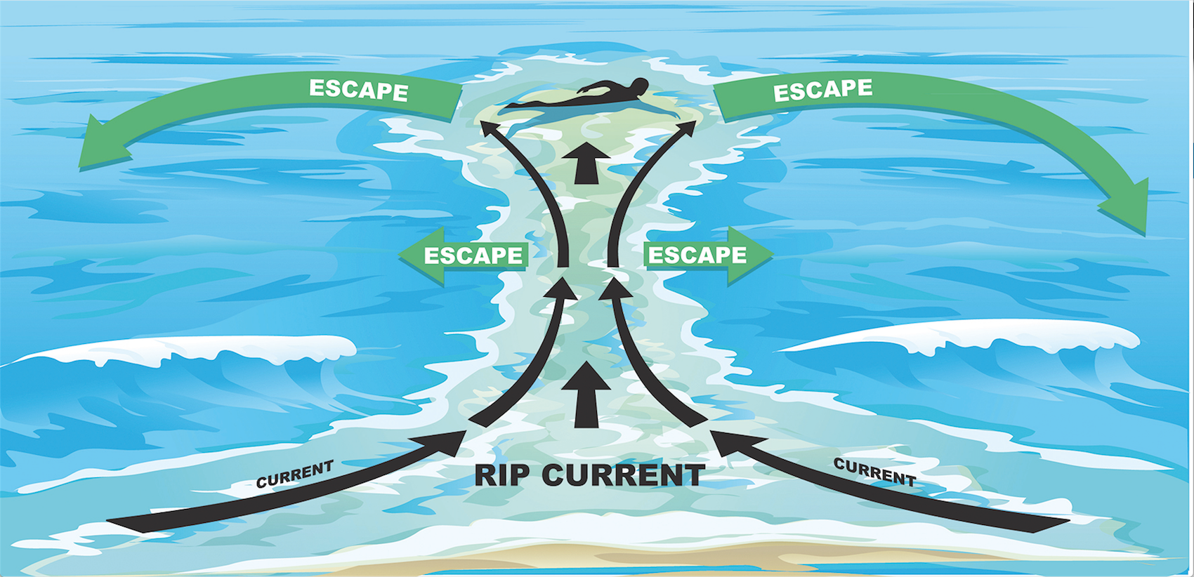 Revealed: How to Stay Safe at the Beach - Coast Magazine