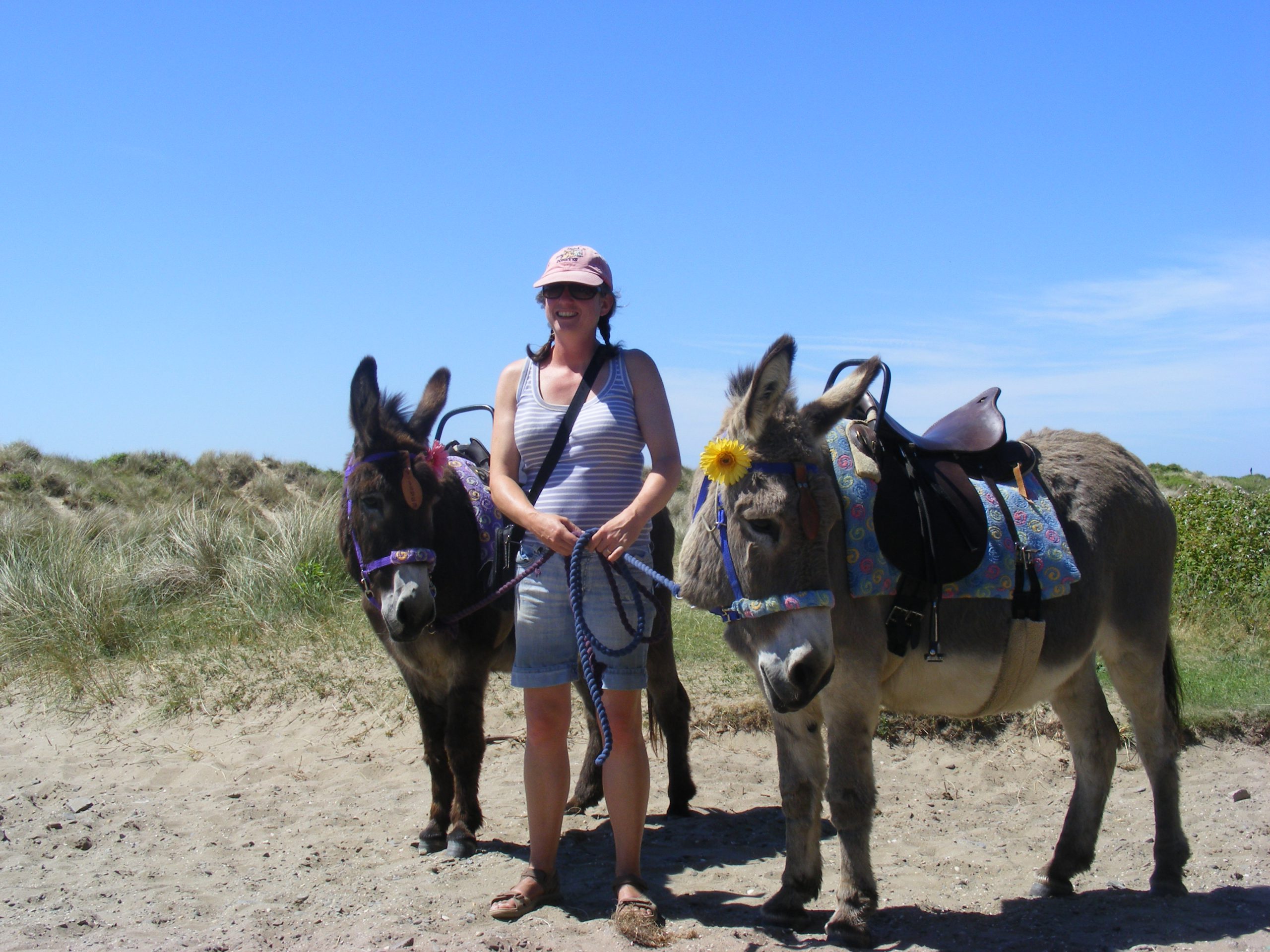 5 Best Donkey Rides by the Sea - Coast Magazine