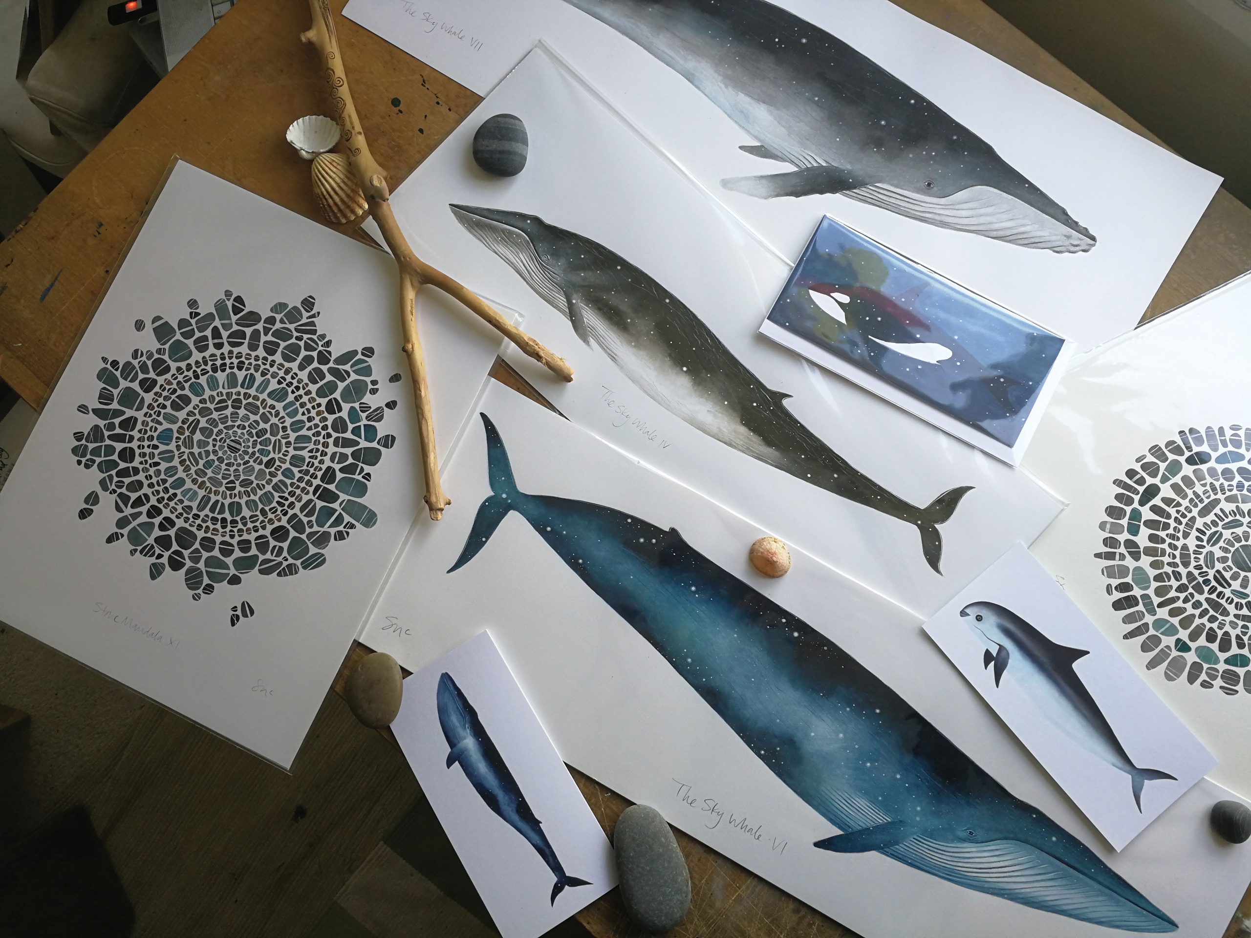 Inspired by the coast: illustrator Stu McLellan - Coast Magazine
