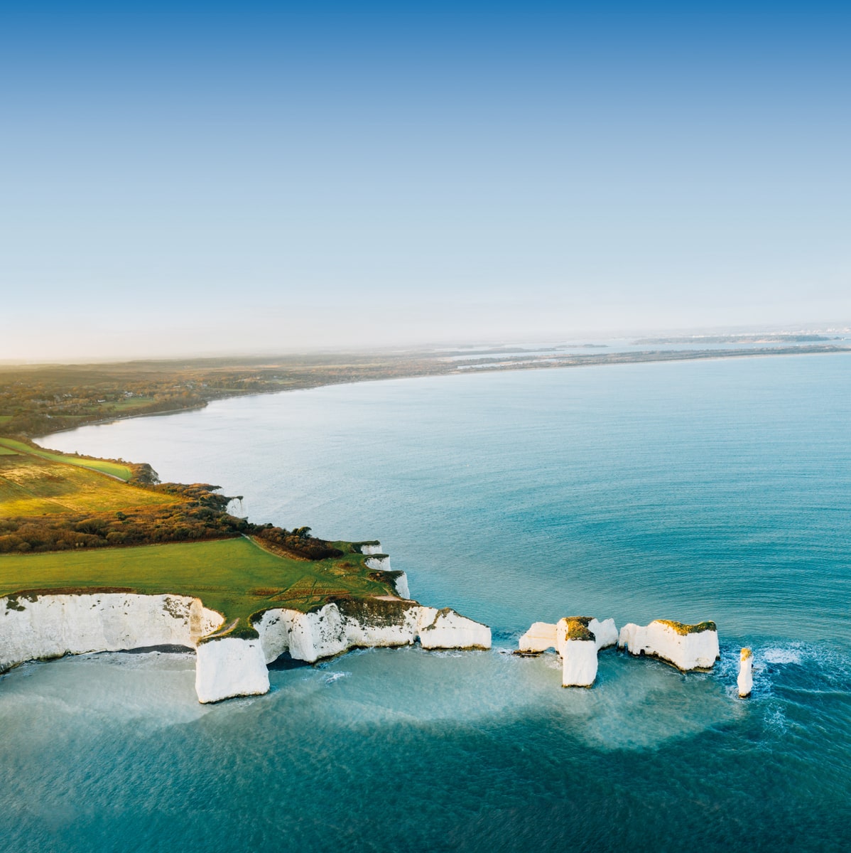 Inspired by the Coast: Fiona Walsh - Coast Magazine