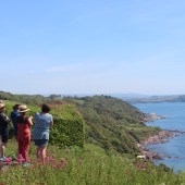 Explore the Rame Peninsula - Coast Magazine