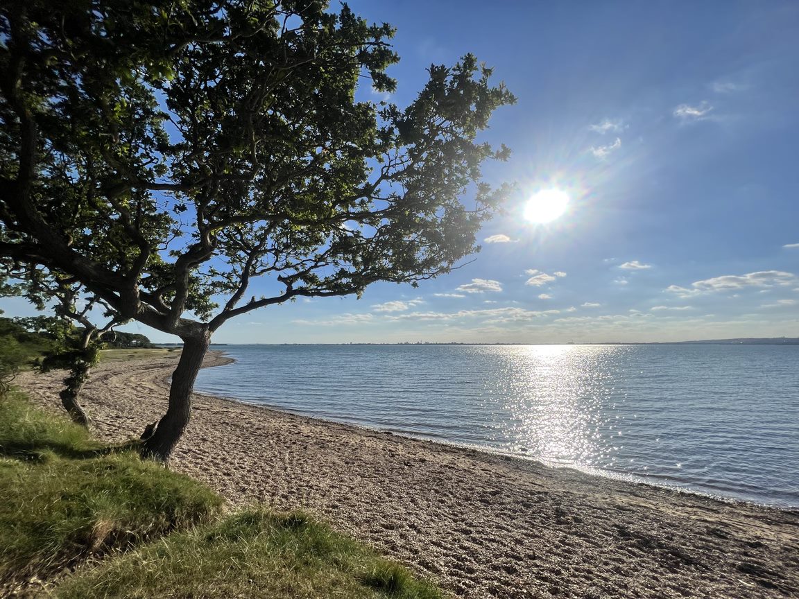 Discover Hayling Island - Coast Magazine