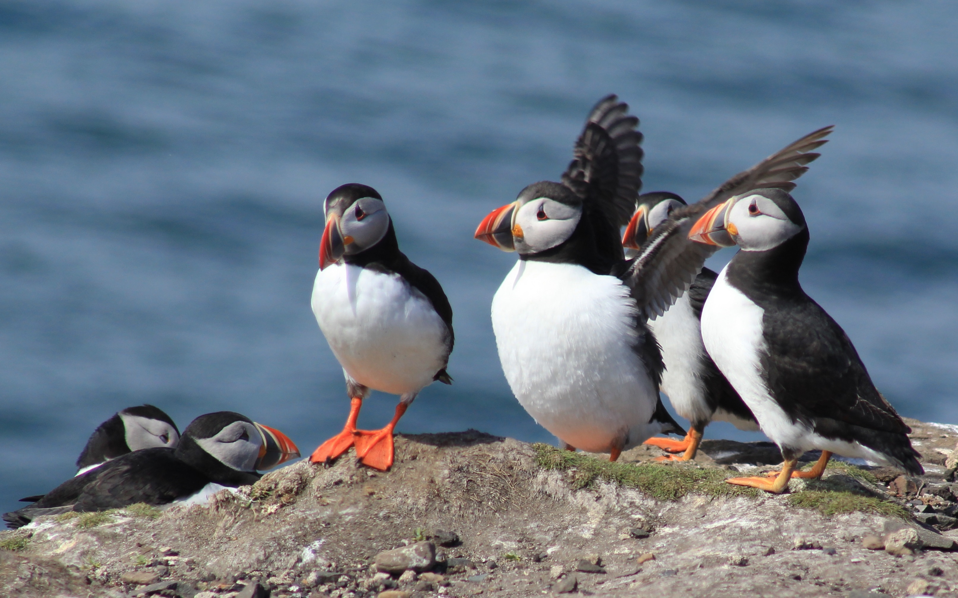A weekend in Seahouses - Coast Magazine