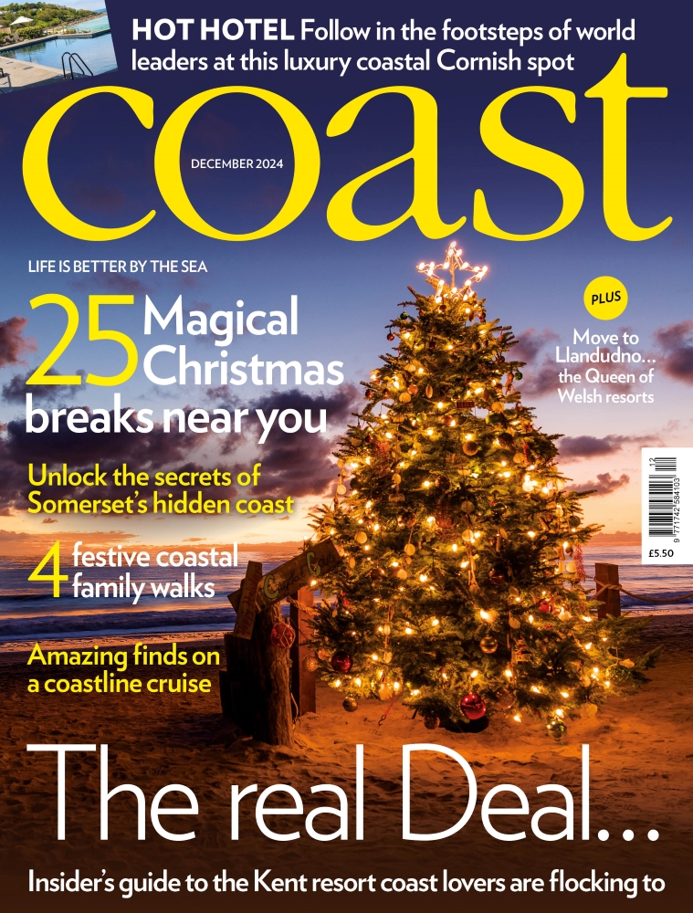 Meet coastal artist and printmaker Angela Harding - Coast Magazine